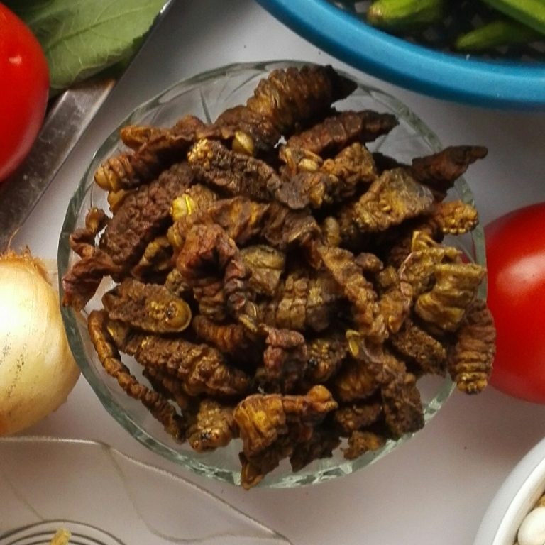 Mopane Worms (Caterpillars)-Zambian Edible Insects – Zambian Kitchen