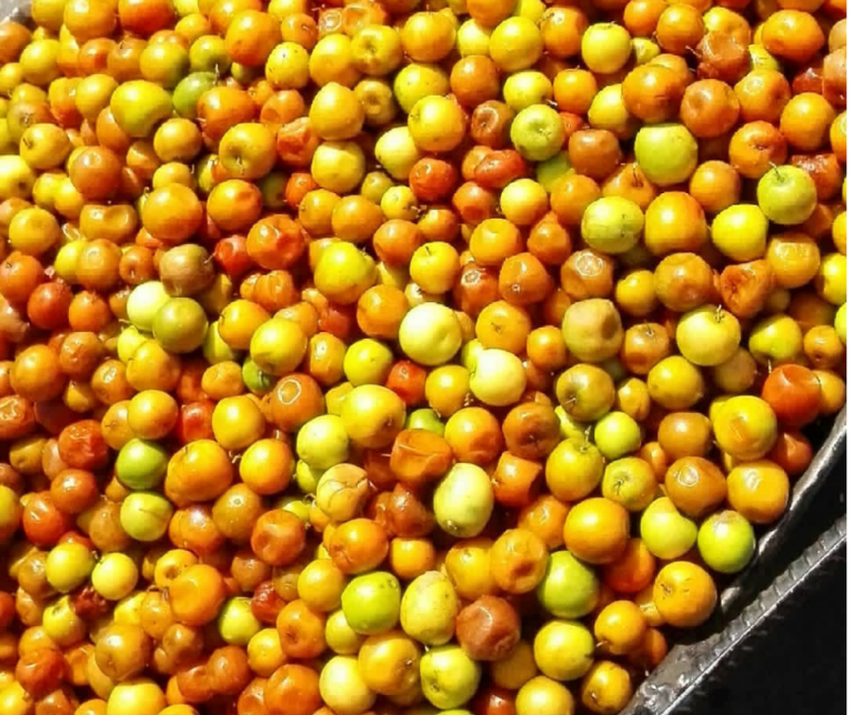 6 Traditional Zambian Fruits You Must Try – Zambian Kitchen